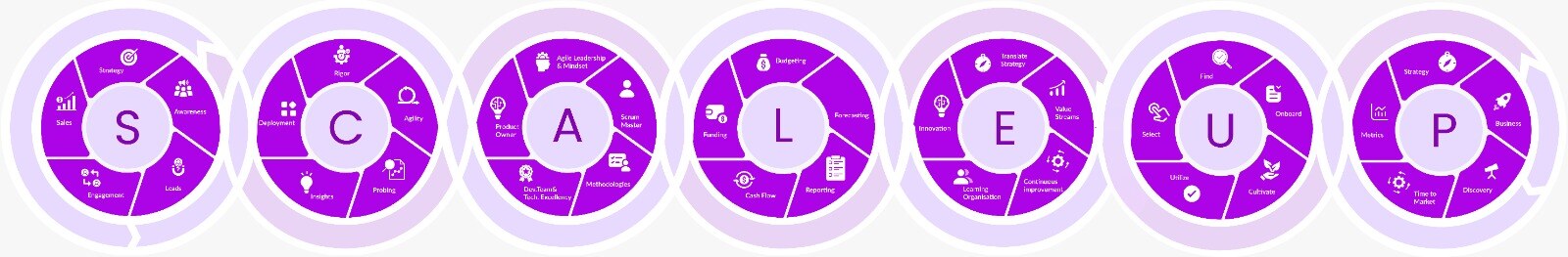 Scaling Up Methodology: The Comprehensive Guide